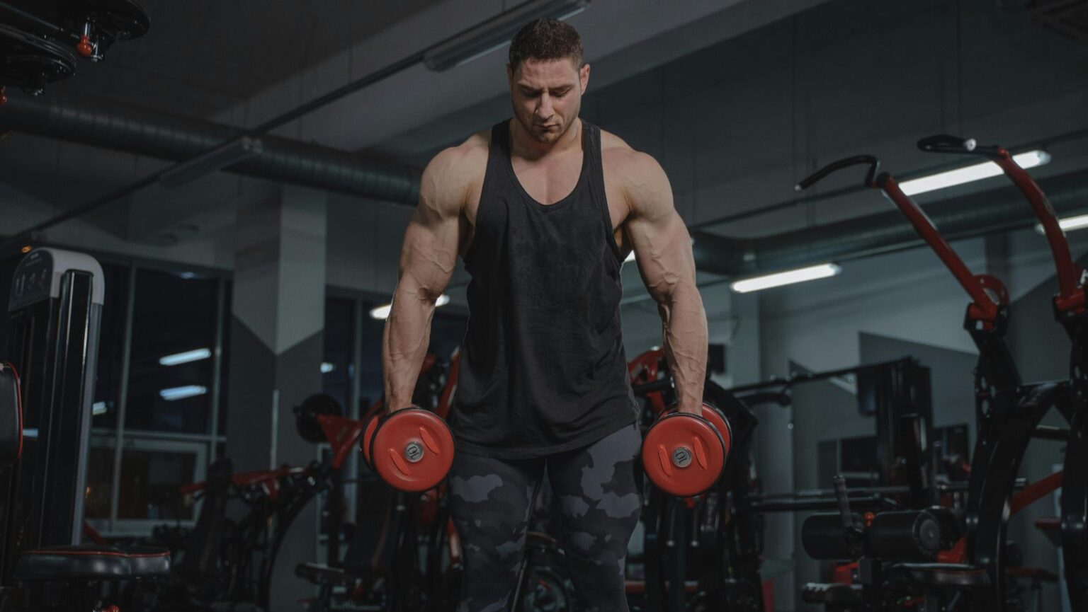 What Is Vascularity and Does It Signal Good Health - Healthsciencesforum