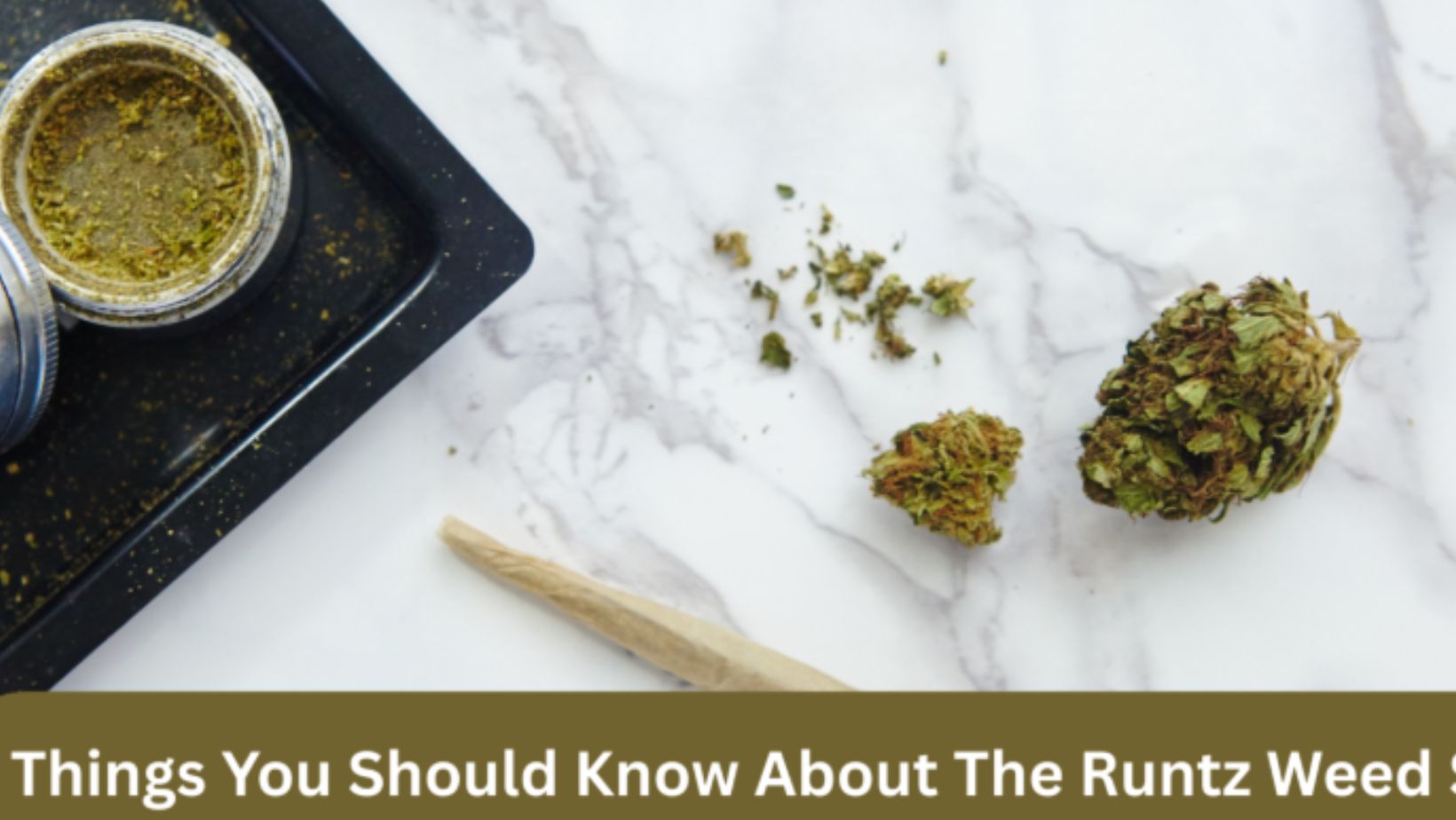 5 Things You Should Know About The Runtz Weed Strain - Healthsciencesforum