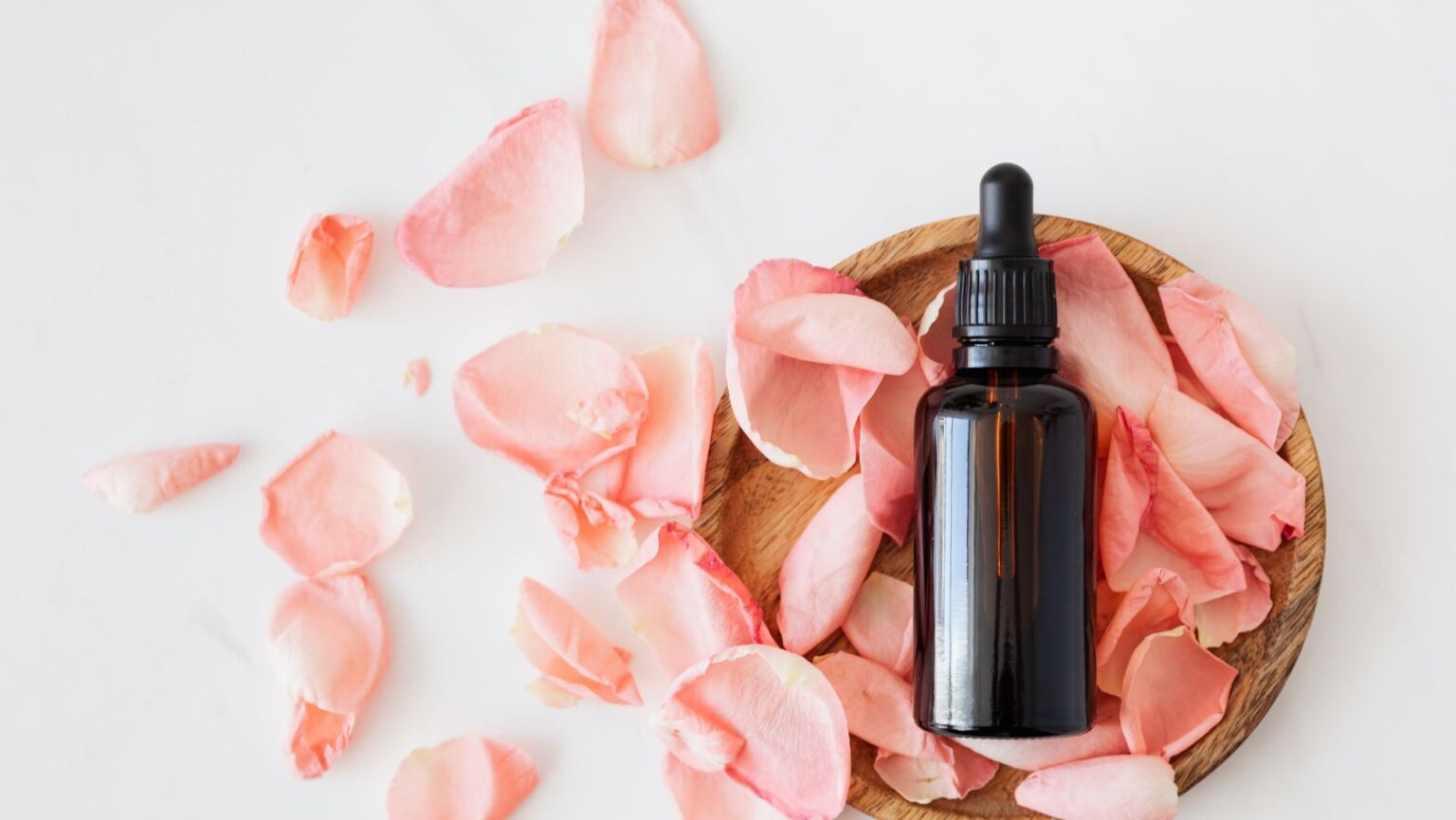 Trajector Medical: Your Reassuring Partner in Navigating Medical ...