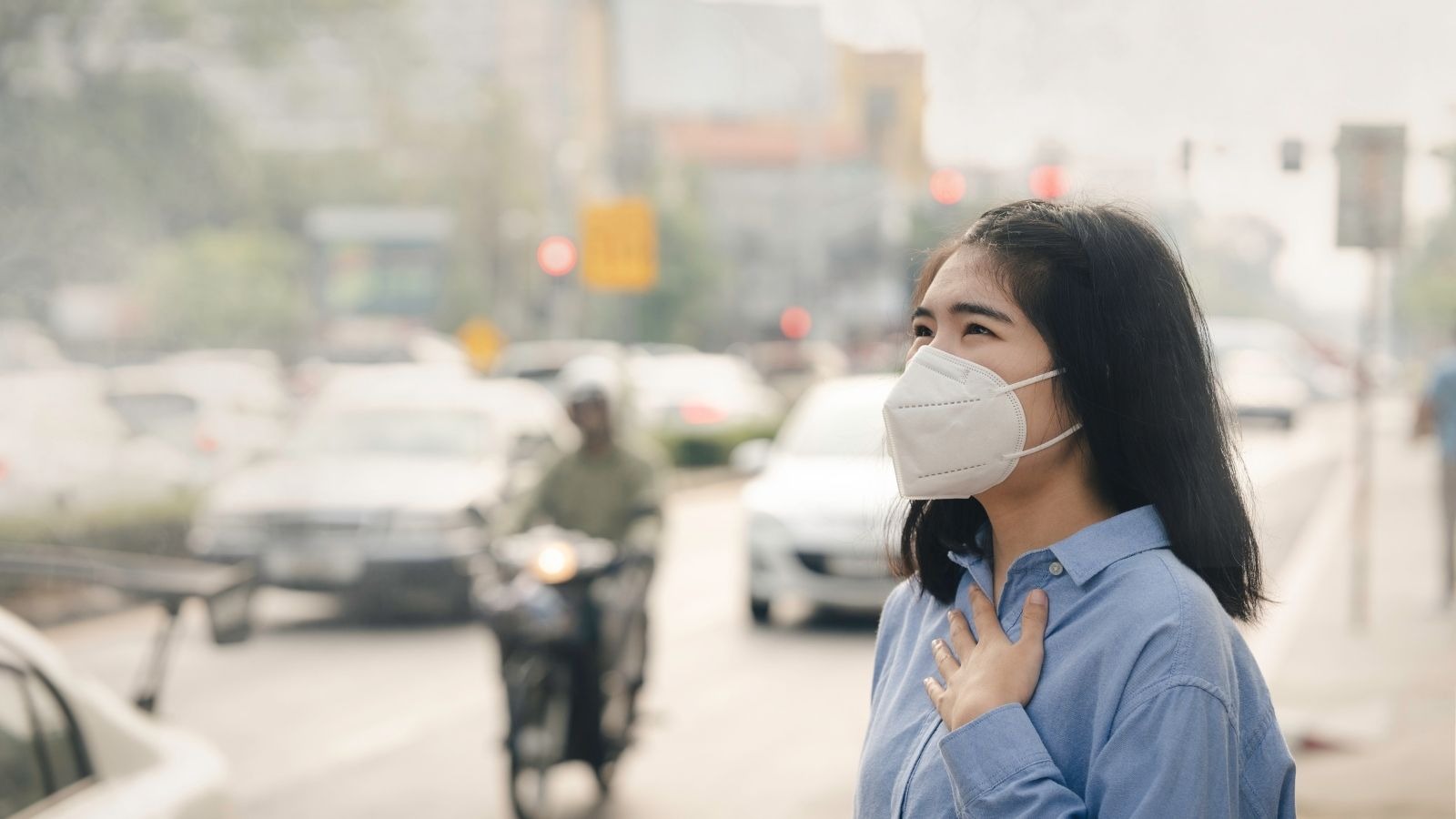The Finest Filter Mask For Preventing Long-Term Respiratory Damage From ...