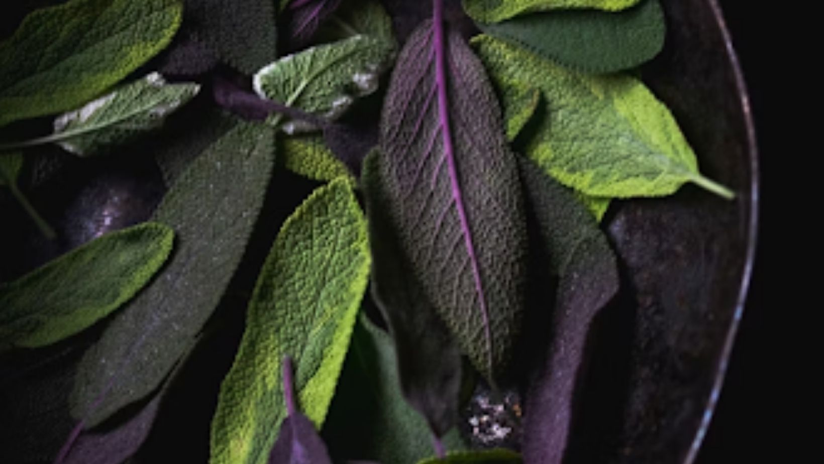 Herbal Bladder Control Supplements: An Evidence‑Based Guide ...